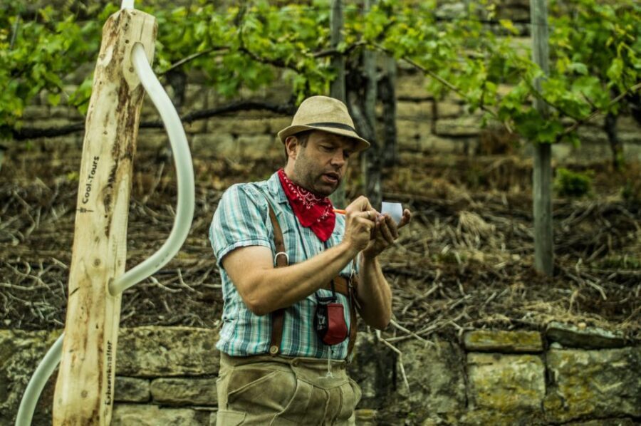 Stuttgart: Guided Vineyards Tour - What to Expect on the Tour