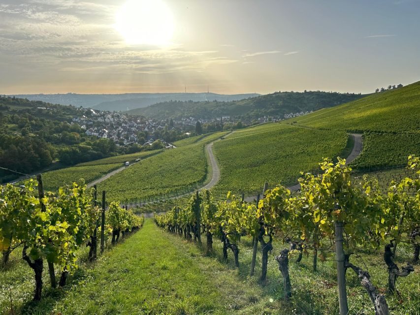 Stuttgart: Sparkling Wine Tour - An In-Depth Look at the Stuttgart Sparkling Wine Tour