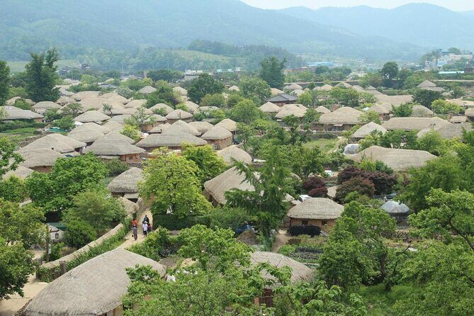 Suncheon one day tour from Seoul, Busan or Suncheon - Who Will Enjoy This Tour?