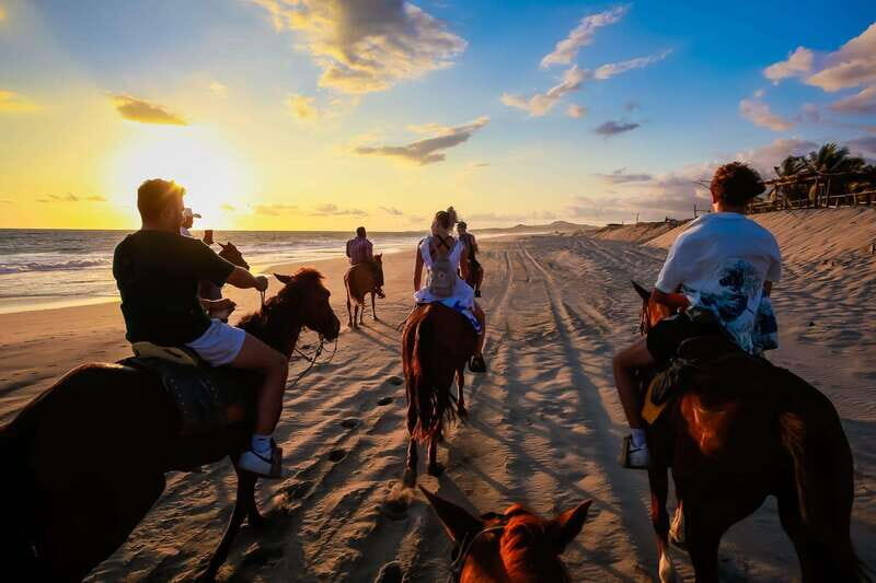 Sunset by Horse on the Beach - A Closer Look at the Experience