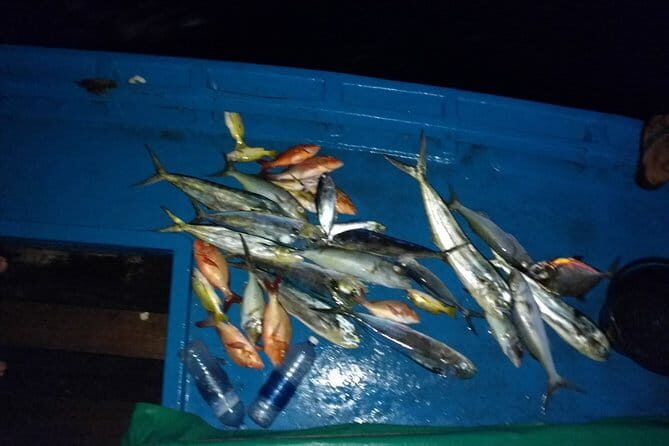 Sunset Cruise and Night Fishing in Dhiffushi - A Closer Look at the Sunset Cruise and Night Fishing Experience