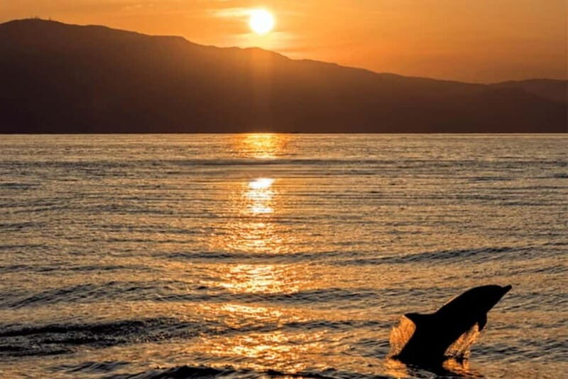 Sunset Dolphin Cruise with Dinner  Medulin Archipelago - Breaking Down Each Stop and Viewpoint