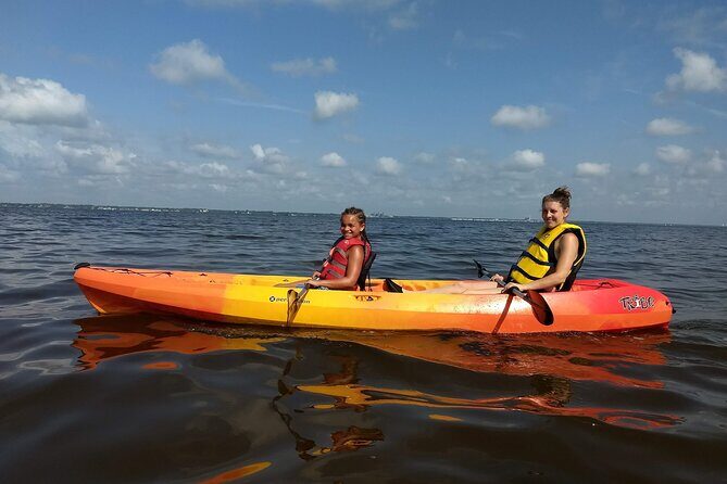 Sunset kayaking tour at Manatee Cove with Manatee & Dolphin sightings - The Value of This Experience