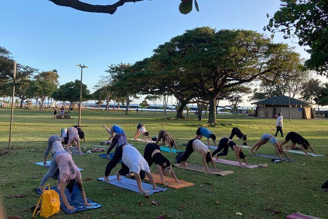 Sunset Yoga Flow at Magic Island - The Itinerary: What to Expect