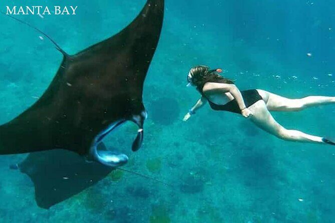 Swim With Manta Rays Nusa Penida Snorkeling - What’s Included and How That Adds Value