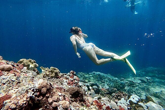 Swim with Manta Rays: Snorkeling Day Trip from Bali - Transportation, Timing, and Value