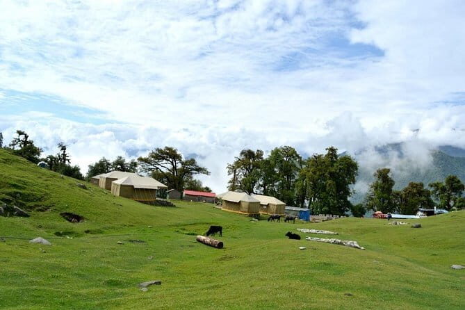 Swiss tent camping in Chopta (1n2d) - Who Should Consider This Tour?