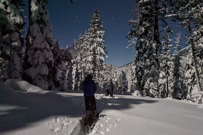 Tahoe National Forest Moonlight Snowshoe Tour Under a Starry Sky - The Sum Up