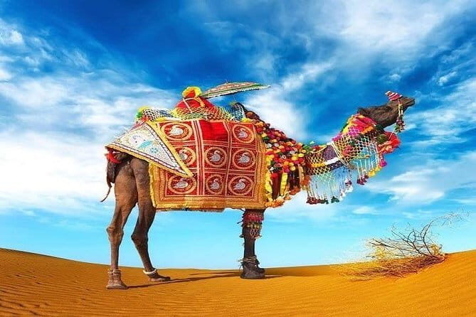 Taj Mahal With Rajasthan Desert Tour 15 Days Ex. Delhi - What to Expect from the Itinerary