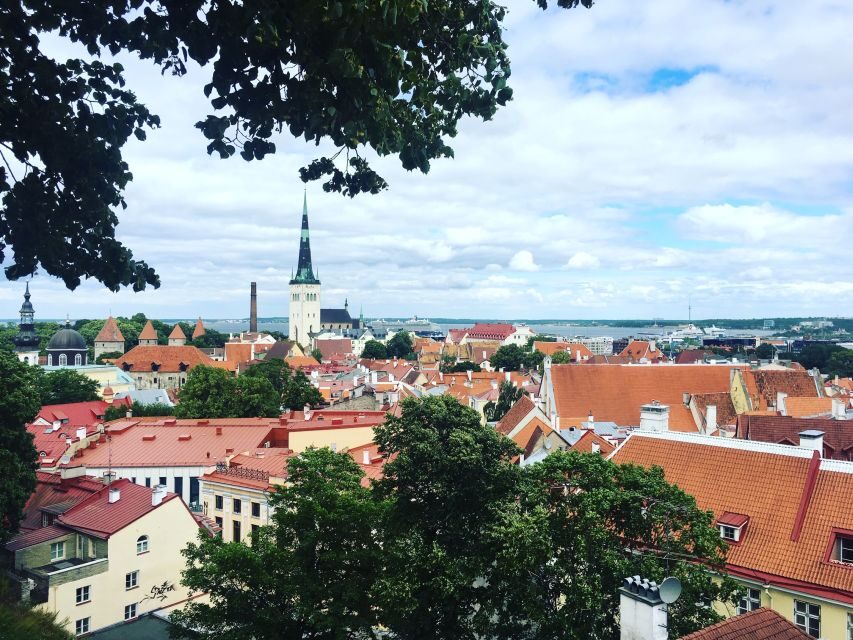 Tallinn: Day Tour from Helsinki with Hotel Pickup - Final Thoughts: Who Is This Tour Best For?