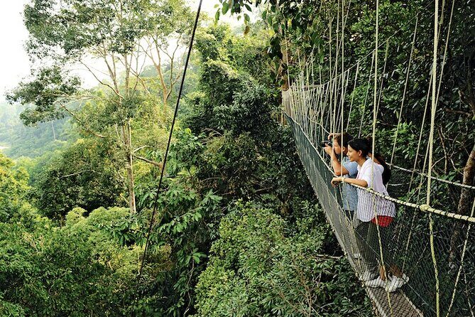 Taman Negara Rainforest Day Tour With Batu Caves Bonus Stop *25* - Who Will Love This Tour?