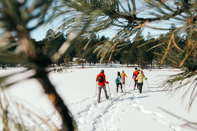 Taos Backcountry Snowshoe Tour - Pricing and Value