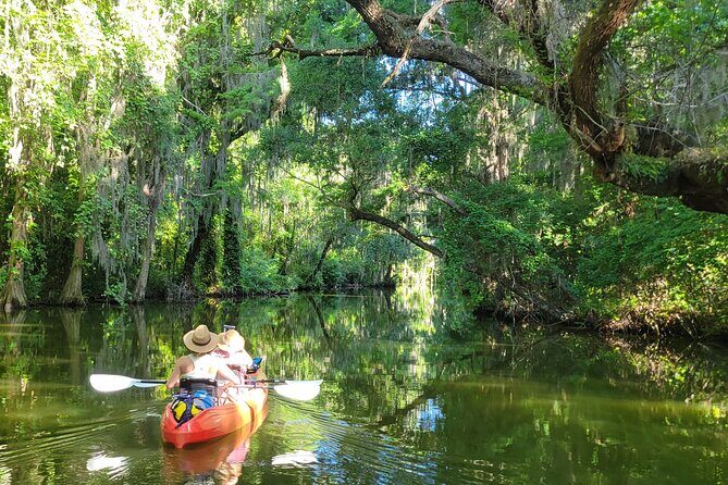 Tavares Half-Day Kayak Rental for Two on the Dora Canal - The Itinerary: A Gentle Journey