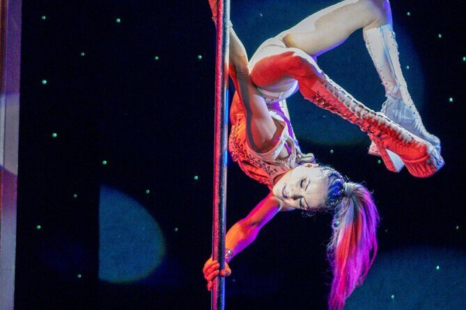 Teatro Martini Dinner Show in Orlando - Who Is This Experience Best For?