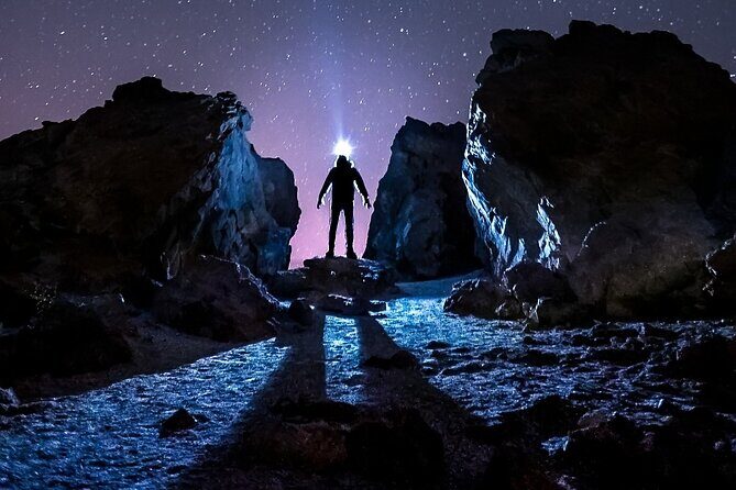 TEIDE NIGHT Astronomy Stargazing Bus Tour, Meal & Drinks included! - The Experience from Reviews