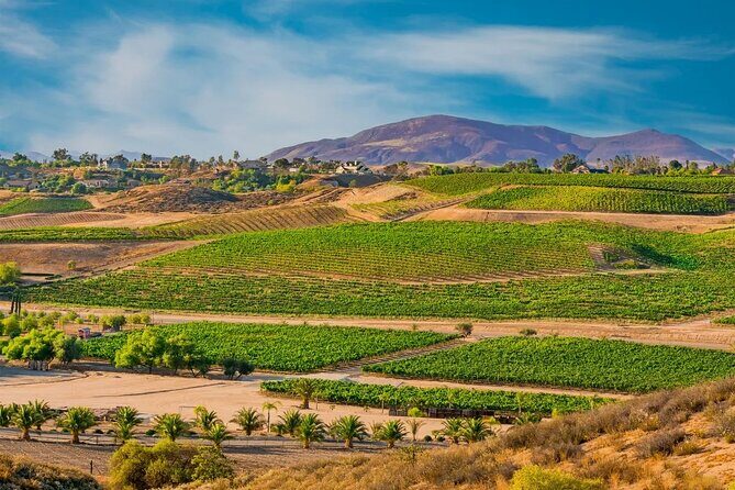 Temecula's Rancho California Wine Tour - Price and Value Analysis