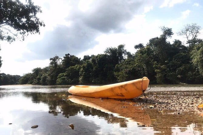 Terengganu Wildlife Kayak Tour - The Itinerary: What to Expect
