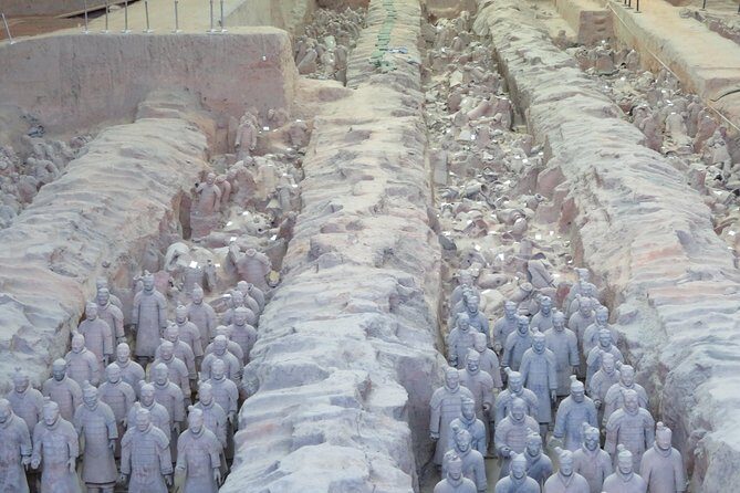 Terra Cotta Army Museum Tour with Noodle / Dumpling Making Class - Transitioning to Xian City
