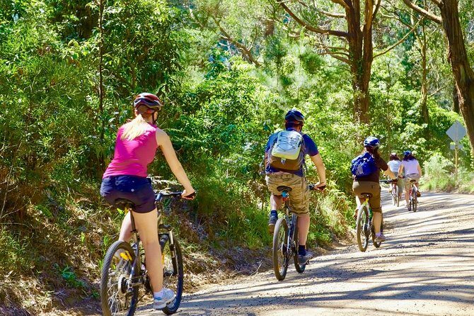 Thalangama Wetland Cycling Tour from Mount Lavinia - The Heart of the Tour: Thalangama Lake and Wetland Park