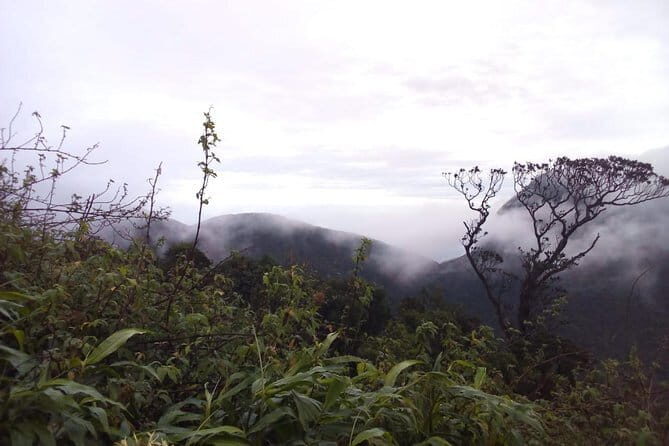 The backpackers trail to Elephant Spine  Knuckles - The Sum Up: Who Will Love This Tour?