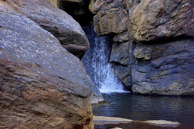 The Beauty And Culture Of Coorg - From Bangalore With Private Transfer - What’s Included and What’s Not