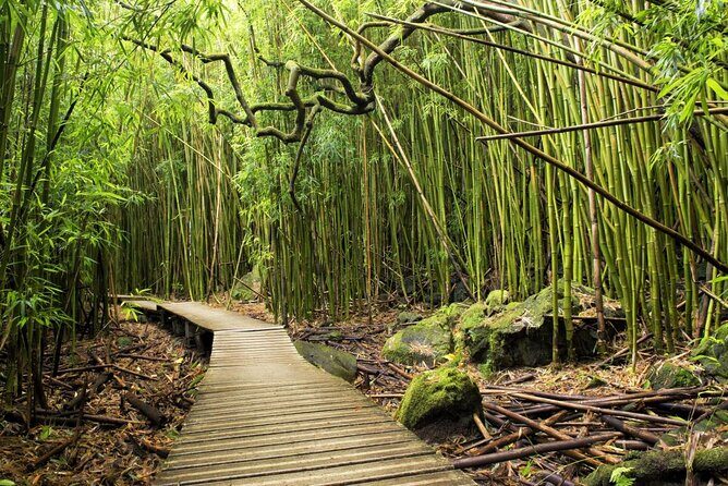 The best half day of your life! Luxury Road to Hana private tour - The Itinerary in Detail