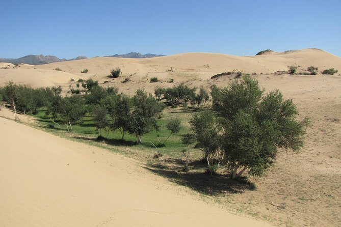 The Best of Central Mongolia Tour in 5 Days - Day 1: Connecting with Nomads at Khugnu Tarna