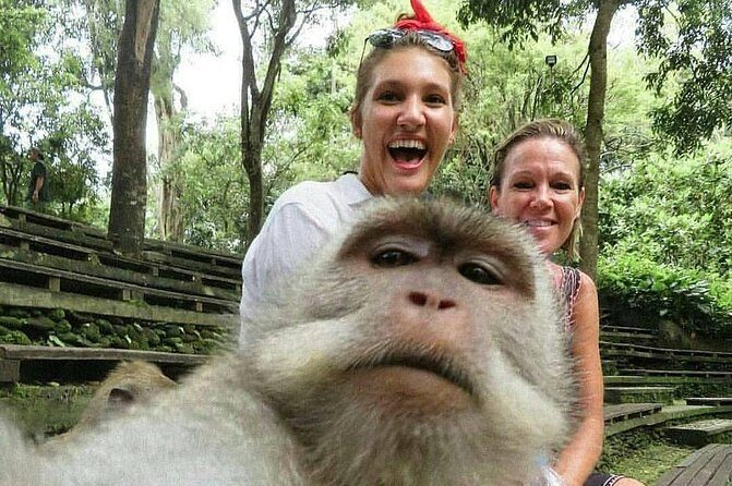 The Best Places to Explore Bali For 2 Days - What We Love About This Tour
