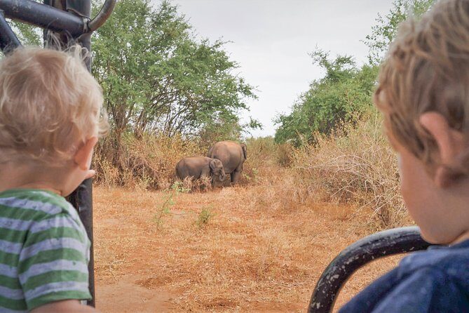 The Great Elephant Gathering Private Safari from Minneriya - The Experience for Different Travelers