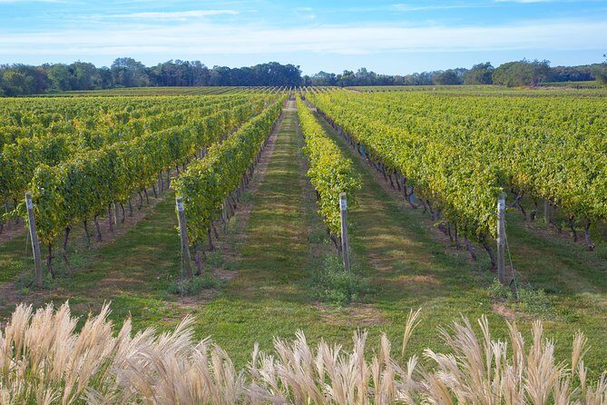 The Hamptons and Long Island Wineries Private Tour - Who Will Love This Tour?