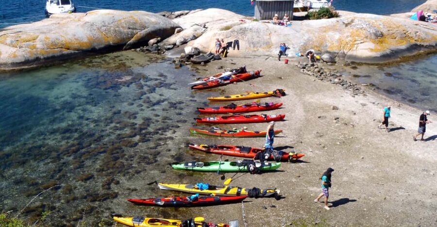 The lunch trip sea kayak tour - The Dining Experience: A Real Taste of Local Seafood