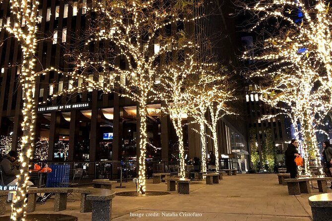 The Magic of Christmas in New York: Private Walking Tour - Analyzing Value and Practical Aspects
