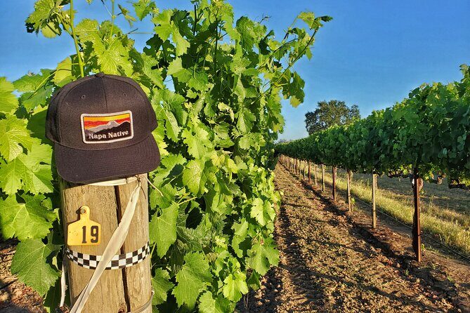 The Napa Native Experience - The Culinary Experience: Lunch with a Winemaker