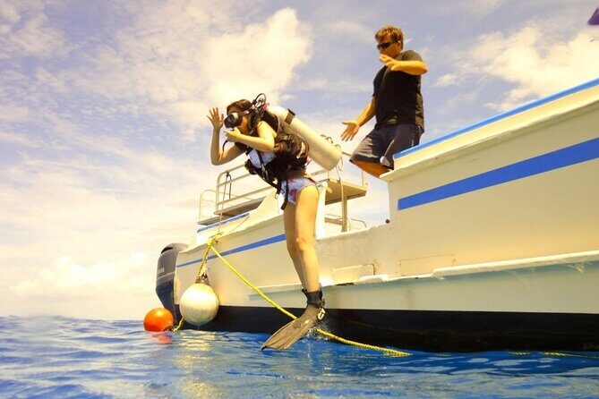 The Original Tiger Shark Challenge - The Authentic Value of the Tiger Shark Challenge