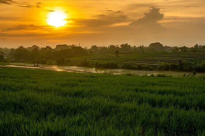 The Other Side of Bali - The North - Coastal Views and Black Sand Beaches