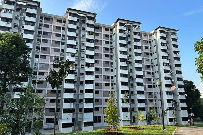 The Real Singapore Heartland Walking Food Tour - Who Would Love This Tour