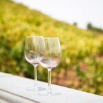 The Temecula Wine Tour from Orange County - Who Is This Tour Best For?