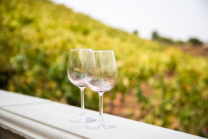 The Temecula Wine Tour from Orange County - Who Is This Tour Best For?