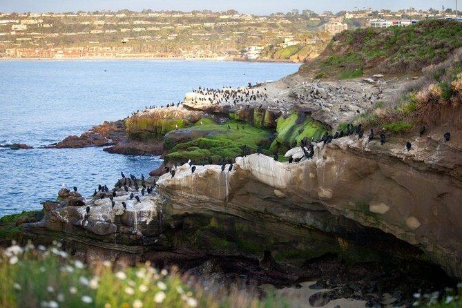 The Ultimate San Diego Tour - Breakdown of the Itinerary: What You’ll See and Experience
