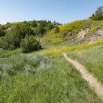 Theodore Roosevelt South Unit Self-Guided Driving Audio Tour - What Travelers Say