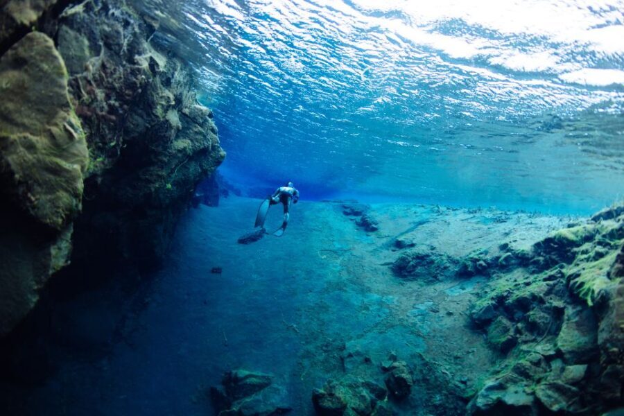 Thingvellir: Silfra Freedive Adevnture with a Guide - Who Will Love This Tour?