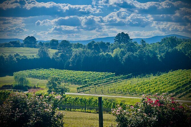 Three Vineyards Half Day Private Wine Tour From Asheville - An In-Depth Look at the Tour Itinerary