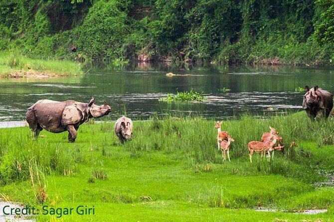 Thrilling Jungle Safari & White Water Rafting Expedition - Evaluating the Experience’s Value