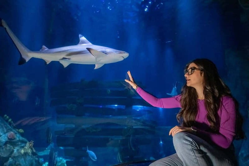 Ticket to SEA LIFE Konstanz - What To Expect From The Tour