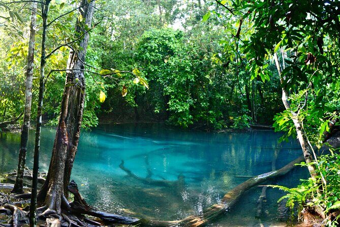 Tiger Cave and Emerald Pool Jungle Tour from Krabi - Who is This Tour Best For?