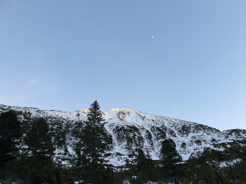 Timisoara Dream Tours: Let's Go Hiking in Retezat Mountains - Who Should Consider This Tour?