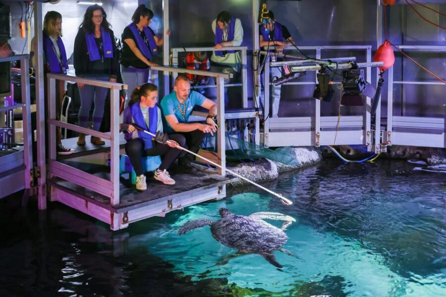 Timmendorfer Strand: SEA LIFE Behind the Scenes Tour - Who Will Love This Tour?