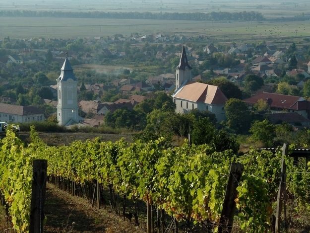 Tokaj Private Day Tour from Budapest - Who Will Love This Tour?