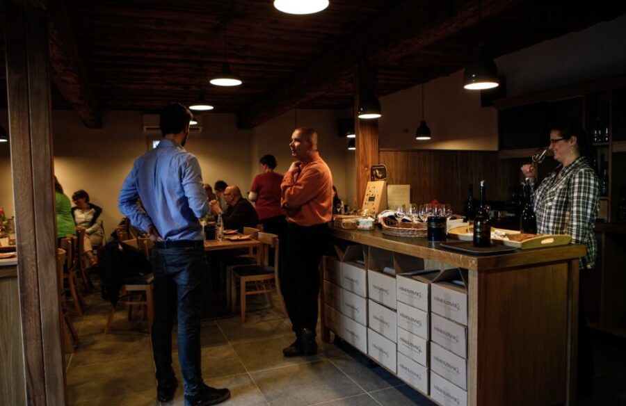 Tokaj: Vineyard Tour & Tasting - An In-Depth Look at the Tour