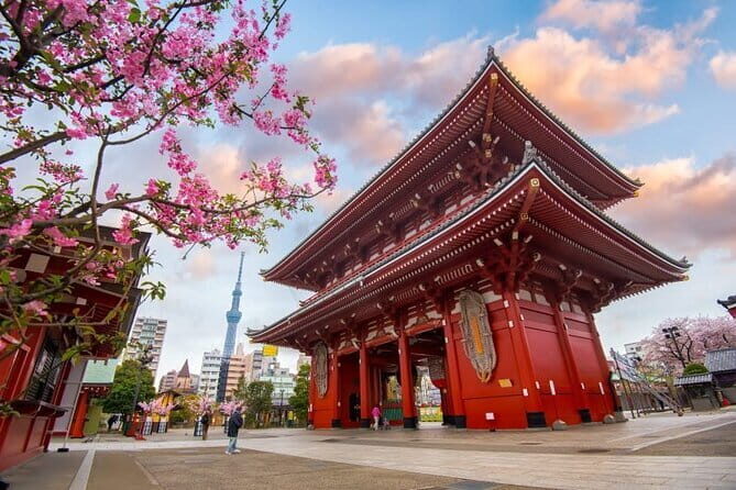 Tokyo Full Day Customize Private City Tour - The Sum Up: Who Is This Tour Best For?